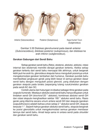 FUNGSI ANATOMI.pdf
