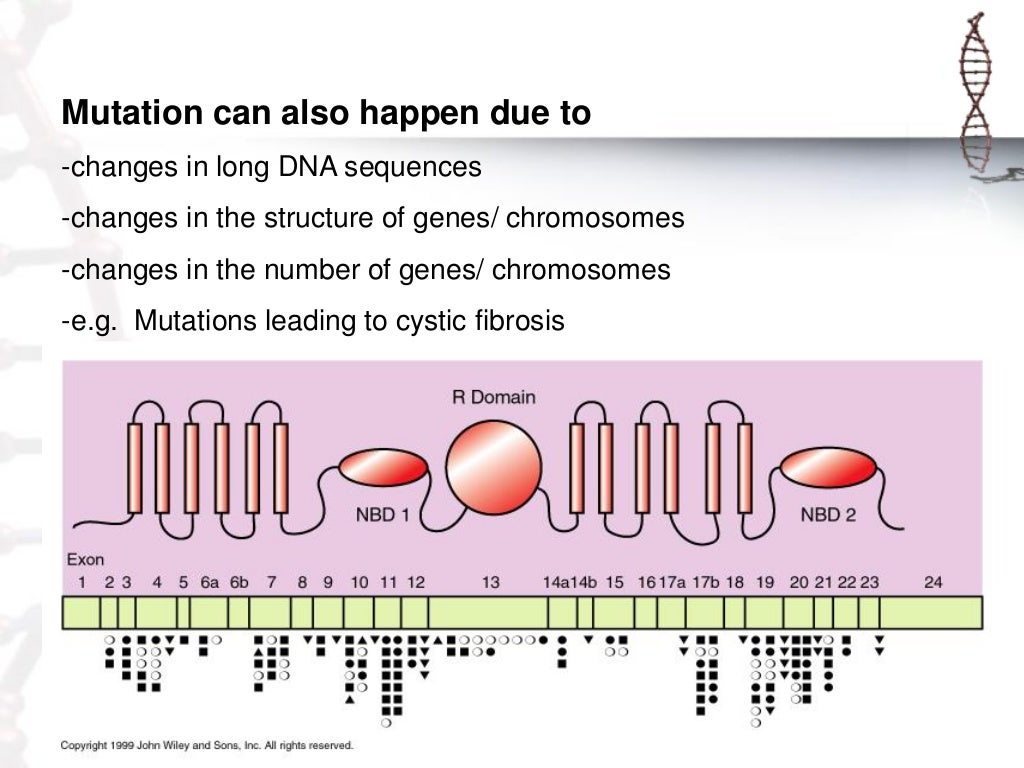 Gene Structure