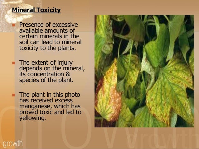 causes of plant disease
