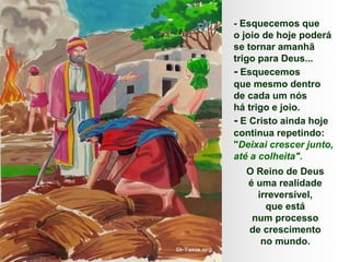 O joio e_trigo | PPSX