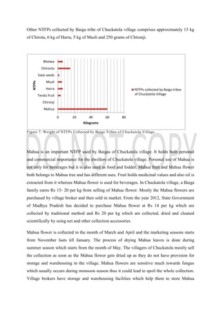 Dissertation NTFP MP | PDF