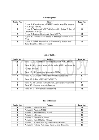Dissertation NTFP MP | PDF