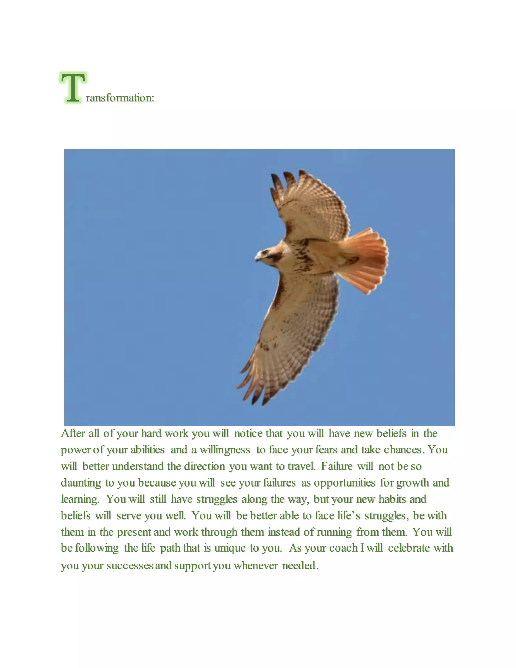 Grit Coaching Model | DOCX