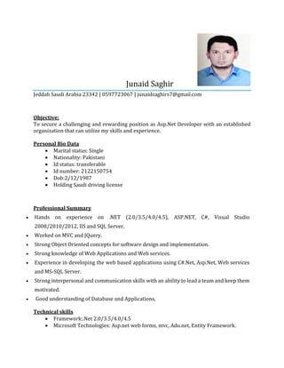 Junaid Saghir updated cv (3) | PDF | Web Development | Internet