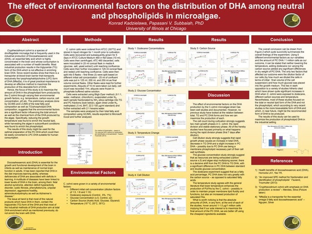 Capstone Project Poster | PPT