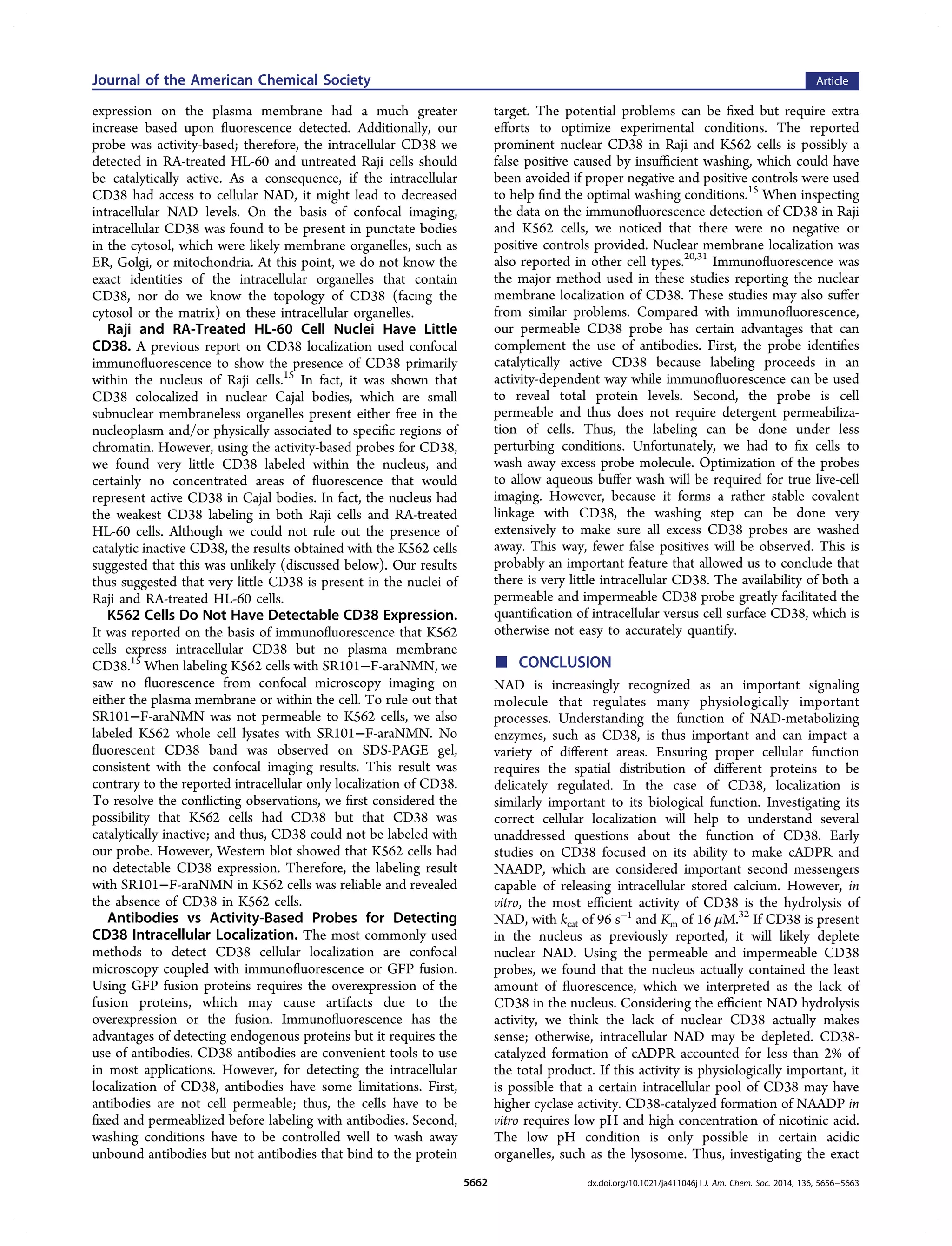 JACS-CD38 localization using a fluorescent probe | PDF