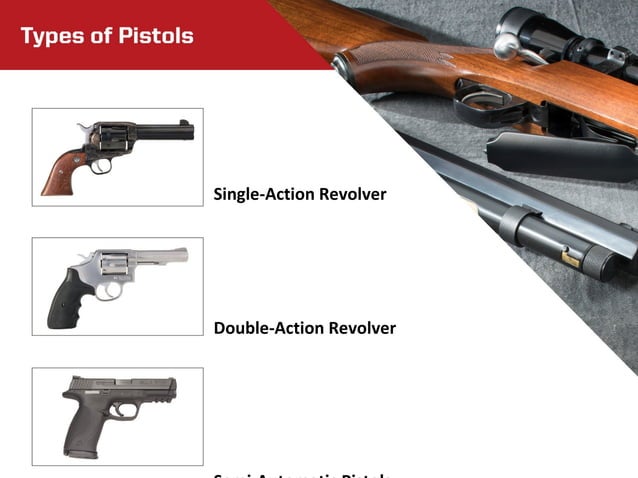 GunSafetySeminarPowerPointPresentation | PPT