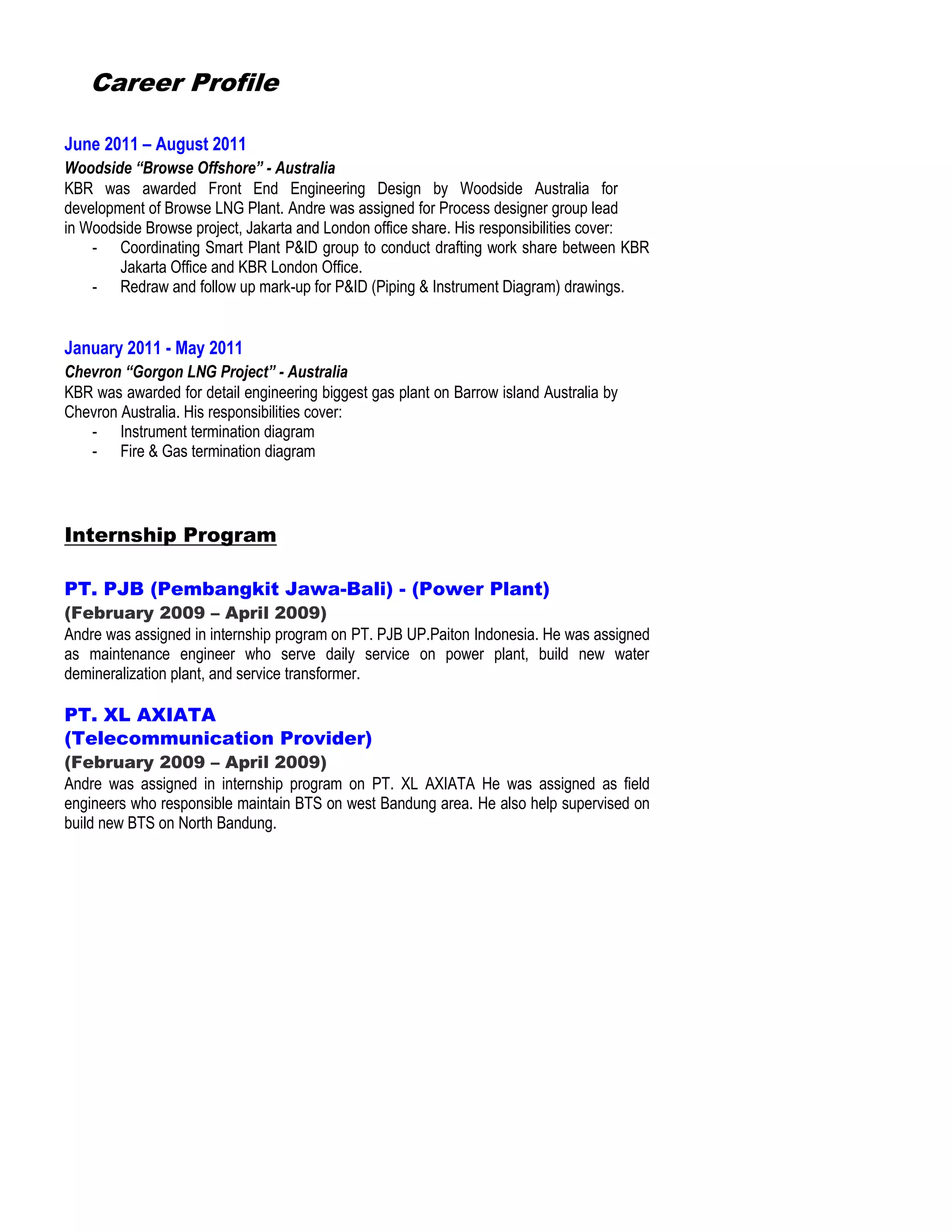 Andryanto - CV | PDF