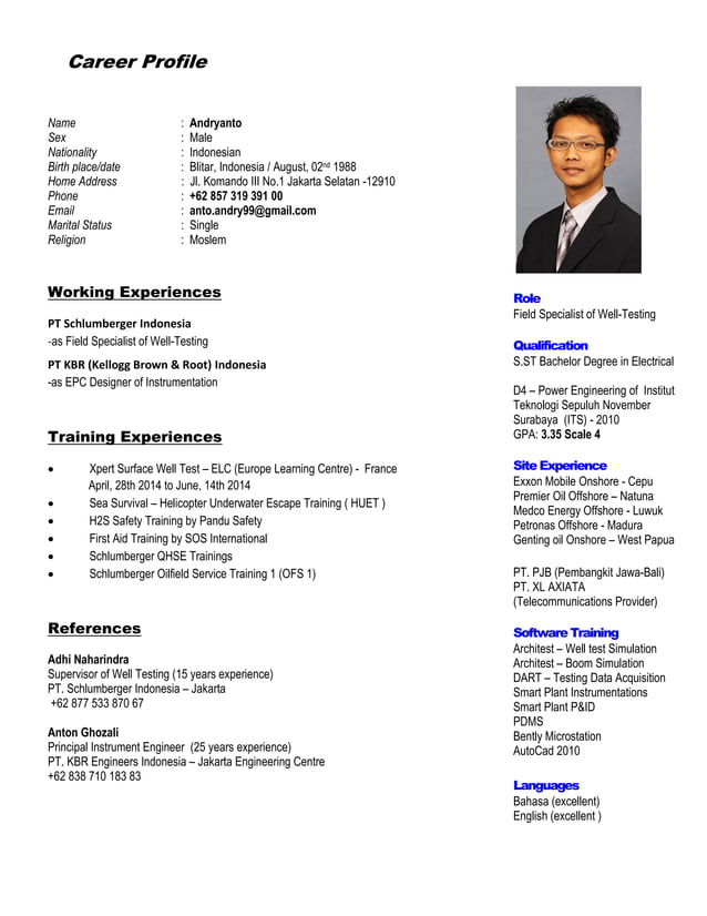 Andryanto - CV | PDF | Scuba Diving | Extreme Sports