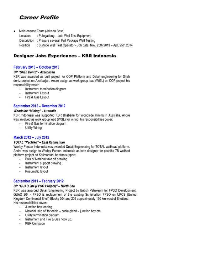 Andryanto - CV | PDF | Scuba Diving | Extreme Sports