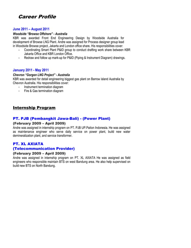 Andryanto - CV | PDF | Scuba Diving | Extreme Sports