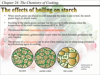 C24 the chemistry of cooking | PPS