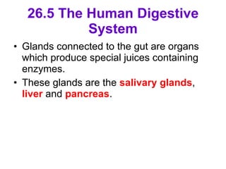 C26 Digestion In Human | PPT | Chemistry | Science