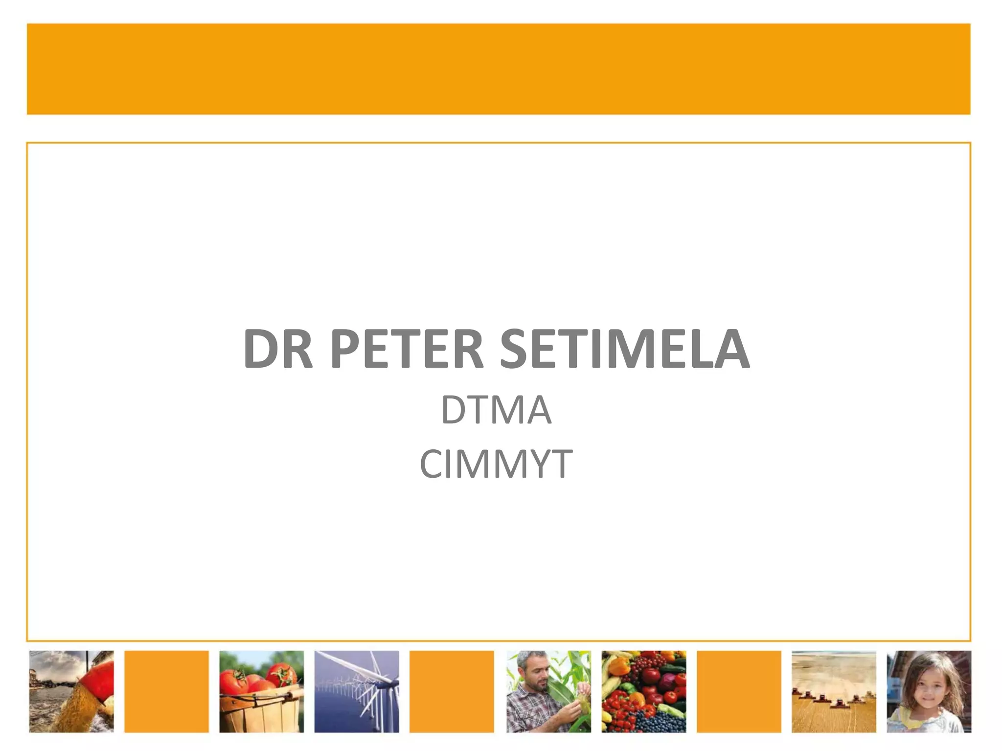 Dr Peter Setimela, DTMA (Drought Tolerant Maize for Africa), CIMMYT | PDF