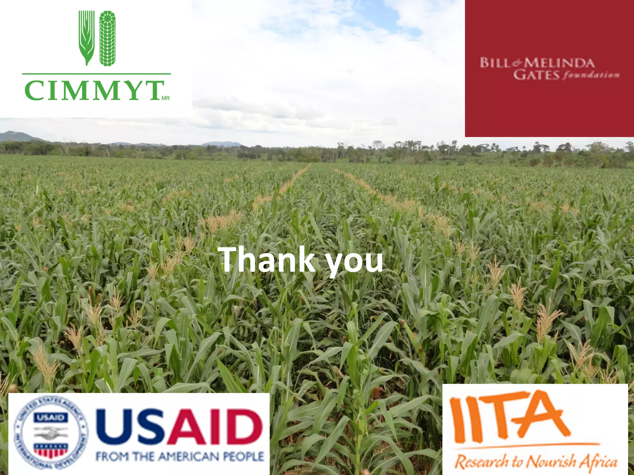 Dr Peter Setimela, DTMA (Drought Tolerant Maize for Africa), CIMMYT | PDF