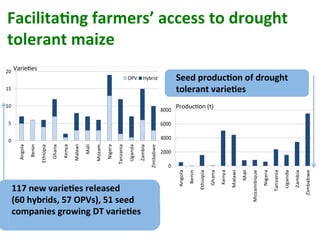 Dr Peter Setimela, DTMA (Drought Tolerant Maize for Africa), CIMMYT | PDF