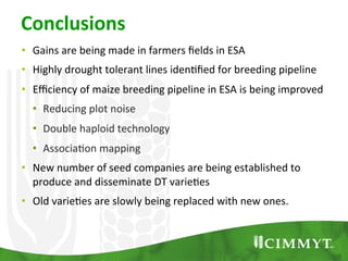 Dr Peter Setimela, DTMA (Drought Tolerant Maize for Africa), CIMMYT | PDF