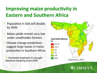 Dr Peter Setimela, DTMA (Drought Tolerant Maize for Africa), CIMMYT | PDF