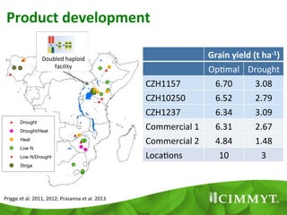 Dr Peter Setimela, DTMA (Drought Tolerant Maize for Africa), CIMMYT | PDF