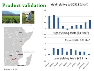 Dr Peter Setimela, DTMA (Drought Tolerant Maize for Africa), CIMMYT | PDF