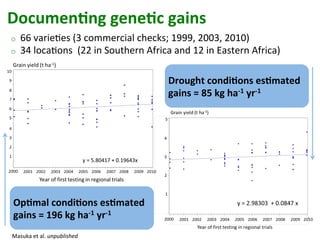 Dr Peter Setimela, DTMA (Drought Tolerant Maize for Africa), CIMMYT | PDF