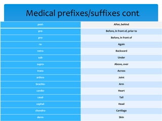 Equinox Massage Training 1 | PPT