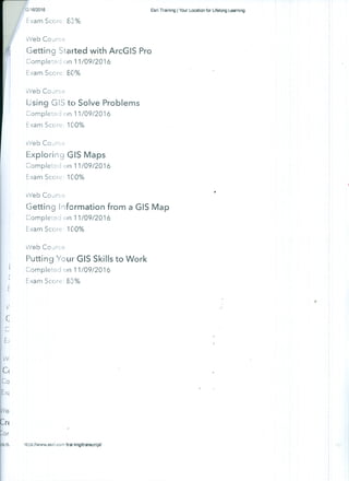 Esri_Overall score | PDF