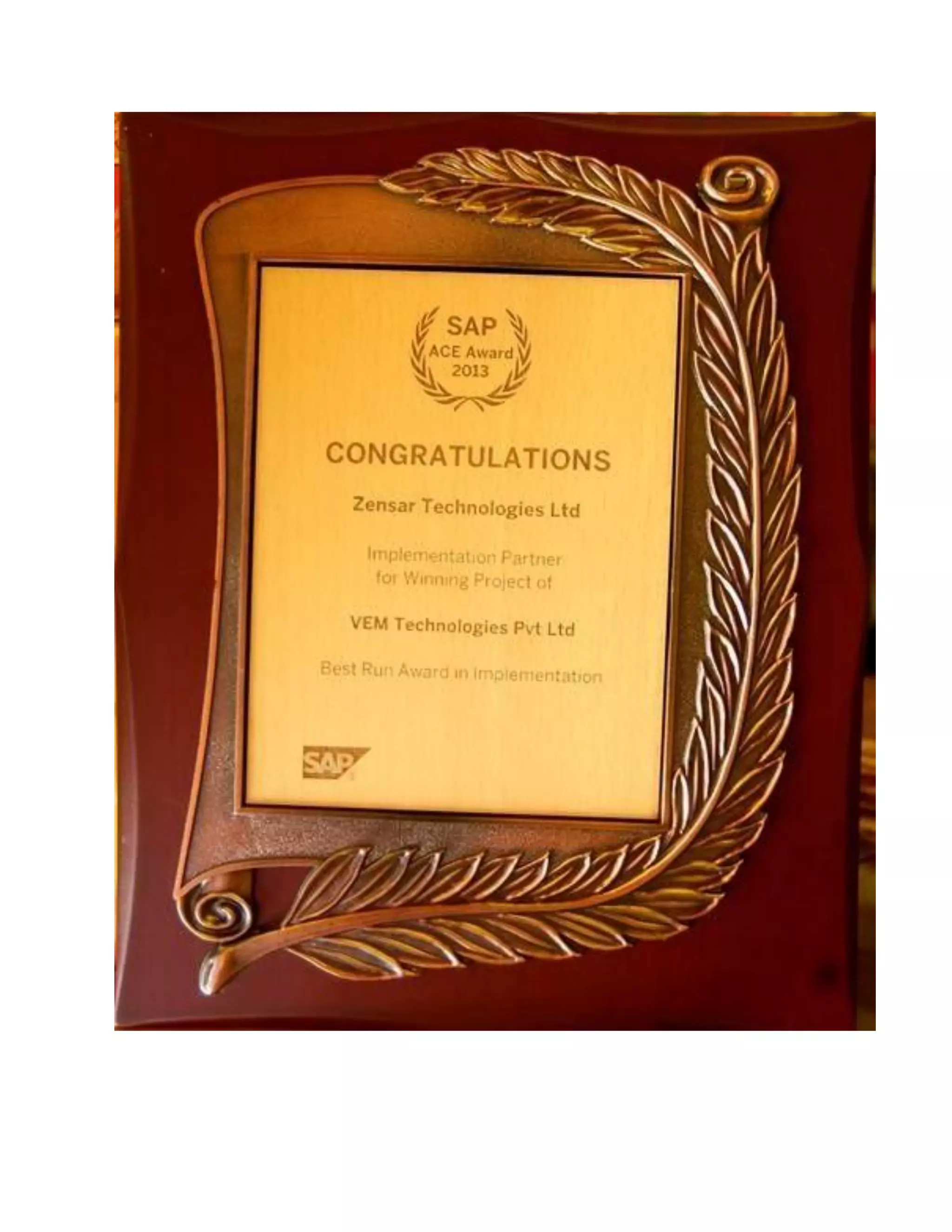 SAP ACE AWARD | PDF