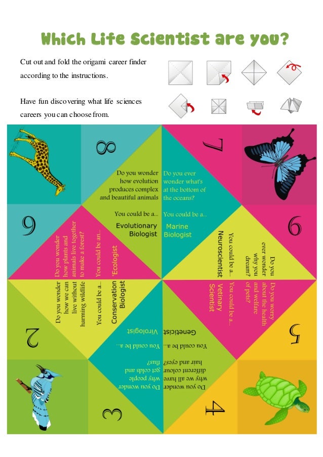 Science Puzzle Worksheet