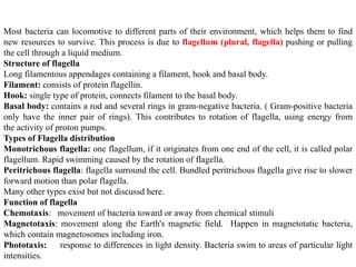 Fundamental of bacterial cell morphology | PPT