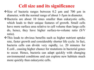 Fundamental of bacterial cell morphology | PPTX