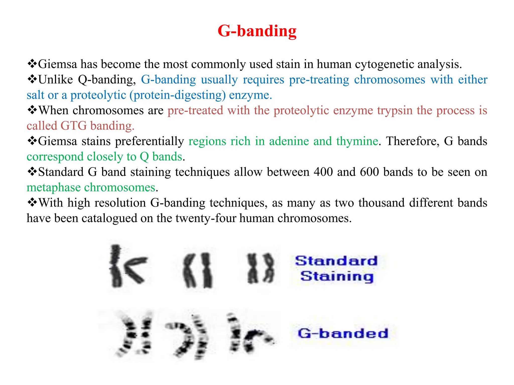 Genetic material DNA packing and its types | PPT