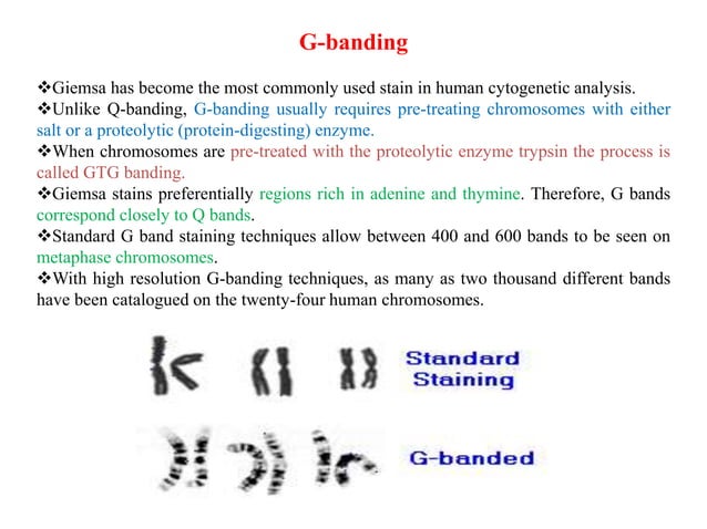 Genetic material DNA packing and its types | PPT