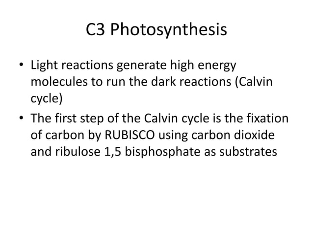 C2 C3 C4 and CAM (1).pptx | Chemistry | Science