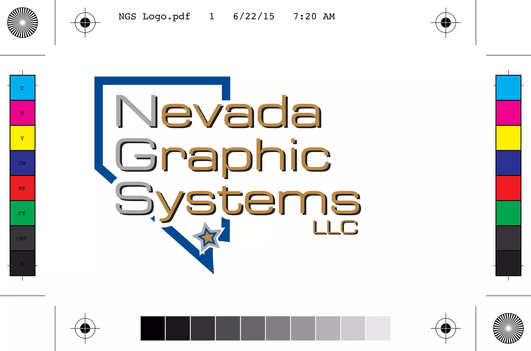 NGS Logo | PDF