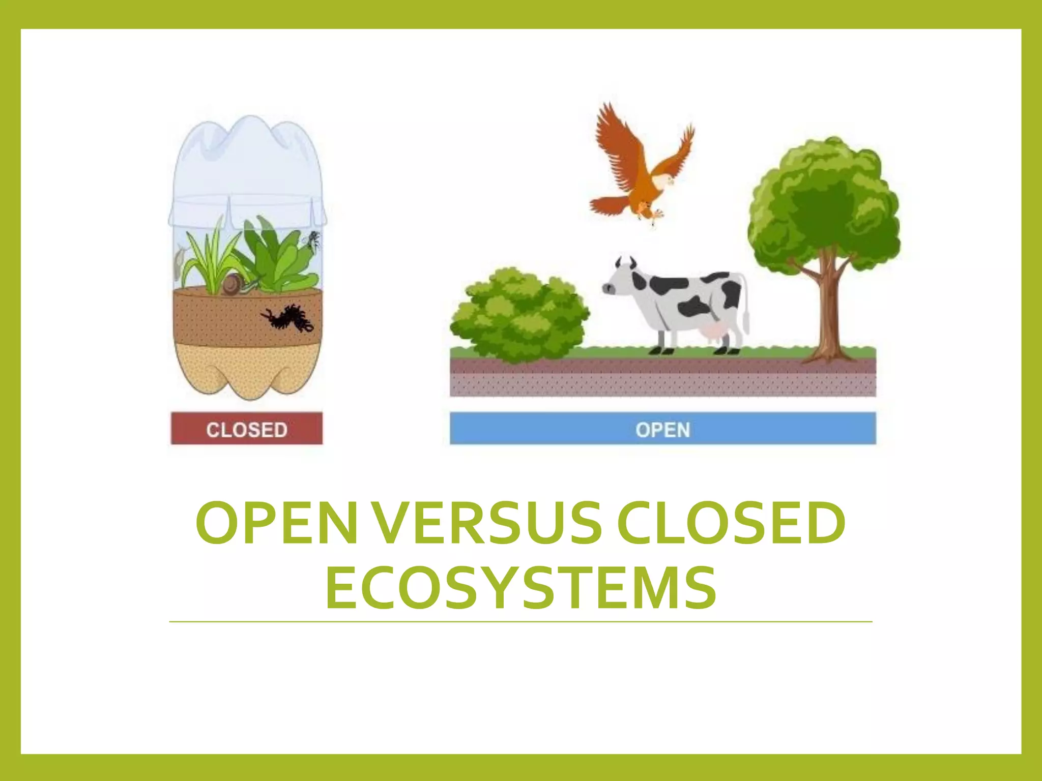 C2 community and ecosystem | PPT