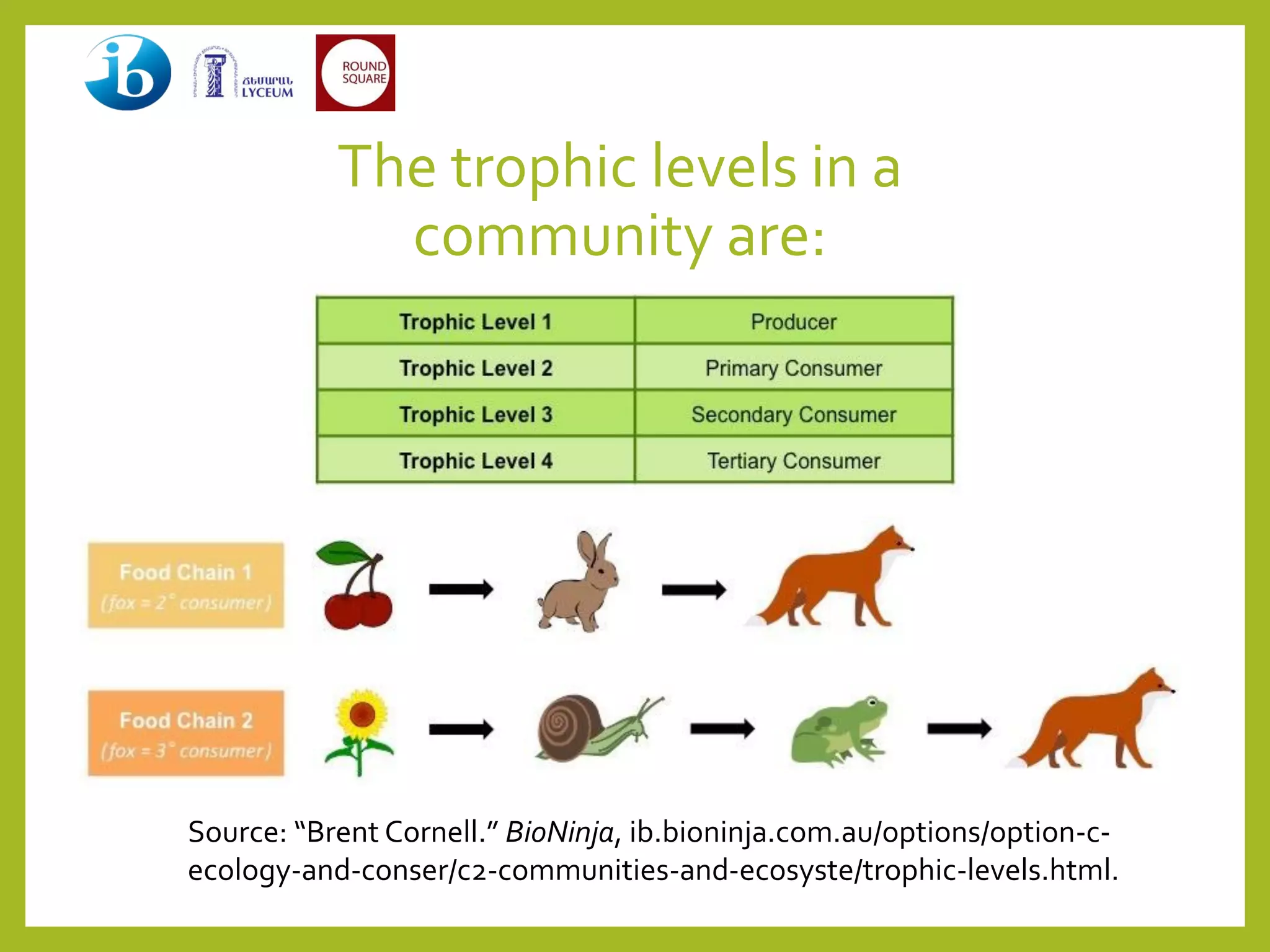C2 community and ecosystem | PPT