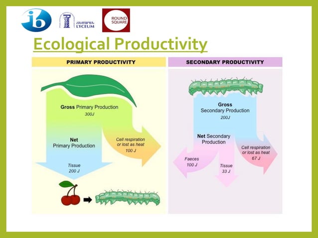 C2 community and ecosystem | PPT