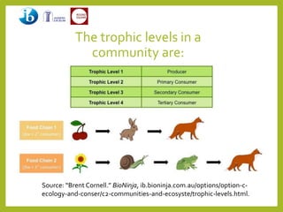 C2 community and ecosystem | PPT