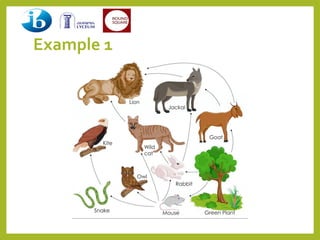 C2 community and ecosystem | PPT