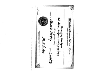 Managing Multiple Priorities 2014 | PDF