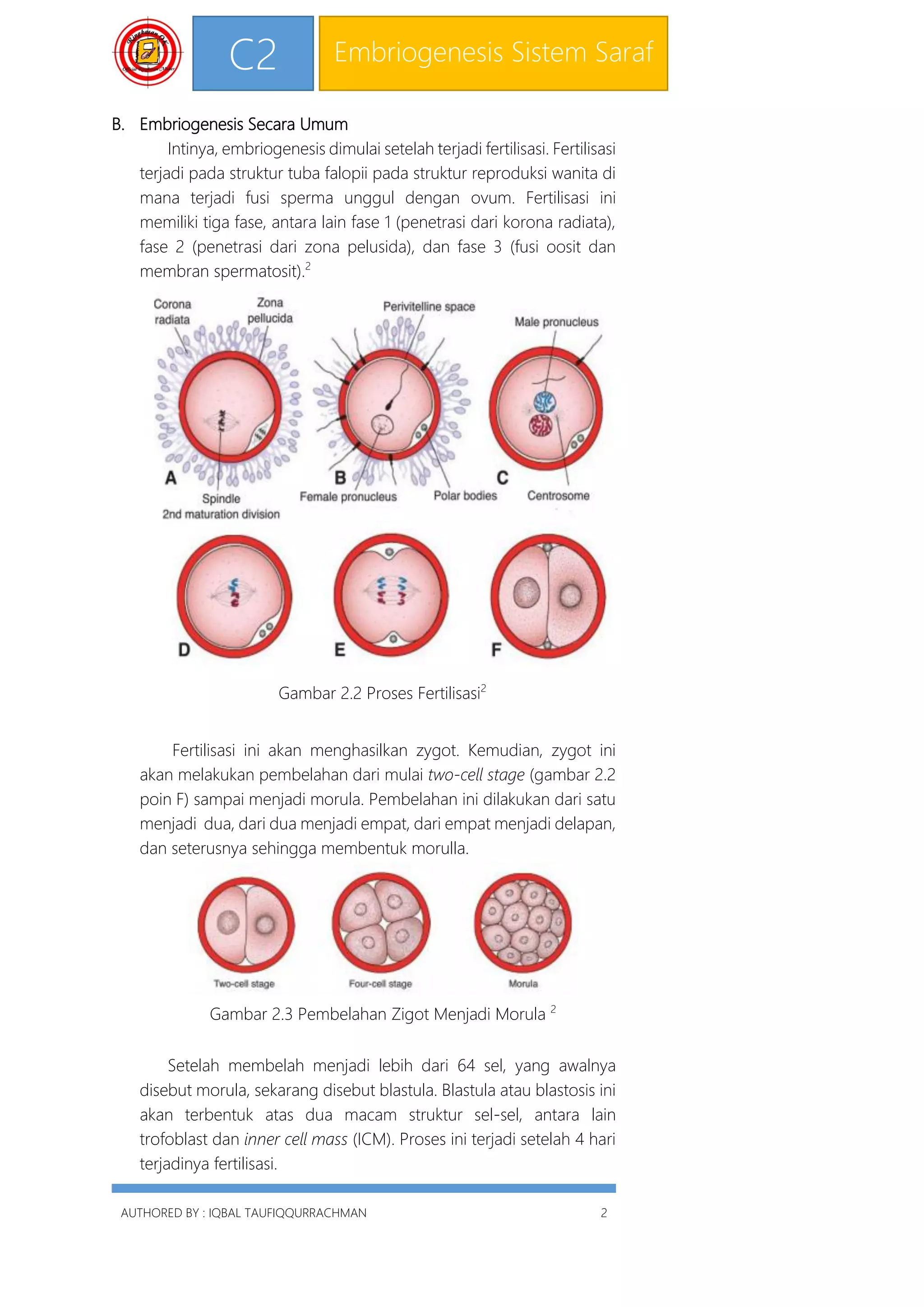 C2 Embriogenesis Sistem Saraf | PDF