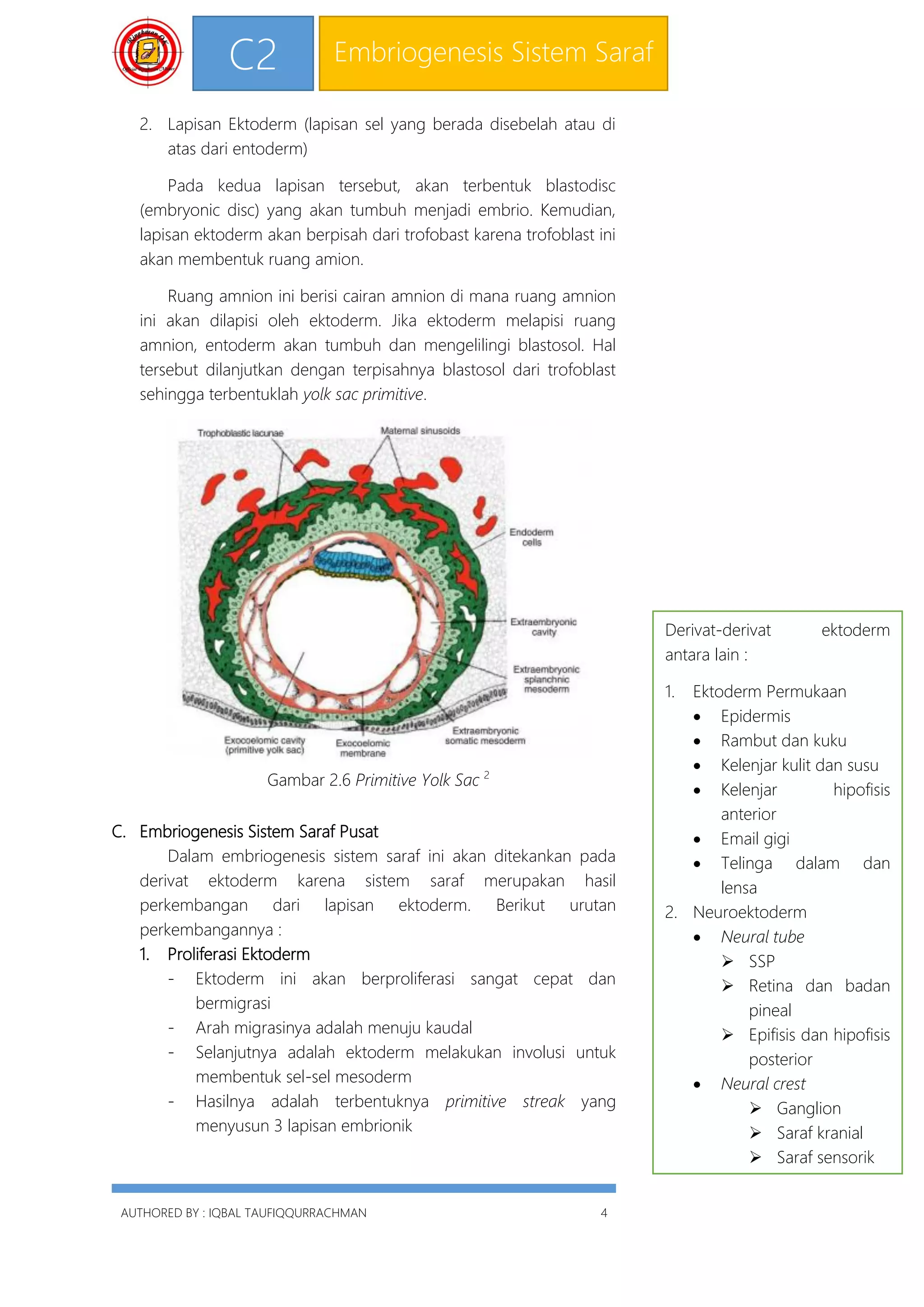 C2 Embriogenesis Sistem Saraf | PDF