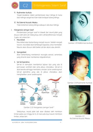 C2 Embriogenesis Sistem Saraf | PDF