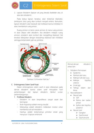 C2 Embriogenesis Sistem Saraf | PDF