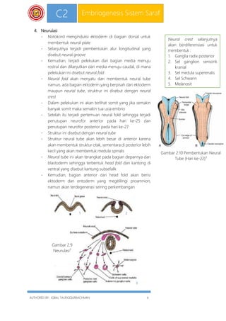 C2 Embriogenesis Sistem Saraf | PDF