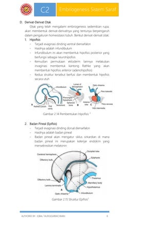 C2 Embriogenesis Sistem Saraf | PDF
