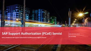 SAP Support Authorization Danışmanlık Servisi | PDF
