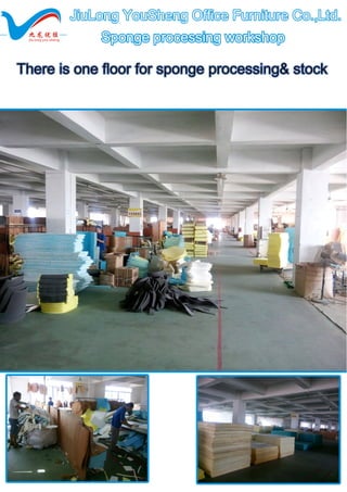 JiuLong YouSheng Presentation | PDF