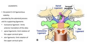 C2 (Axis) cervical Spine Fracture Presentation | PPTX